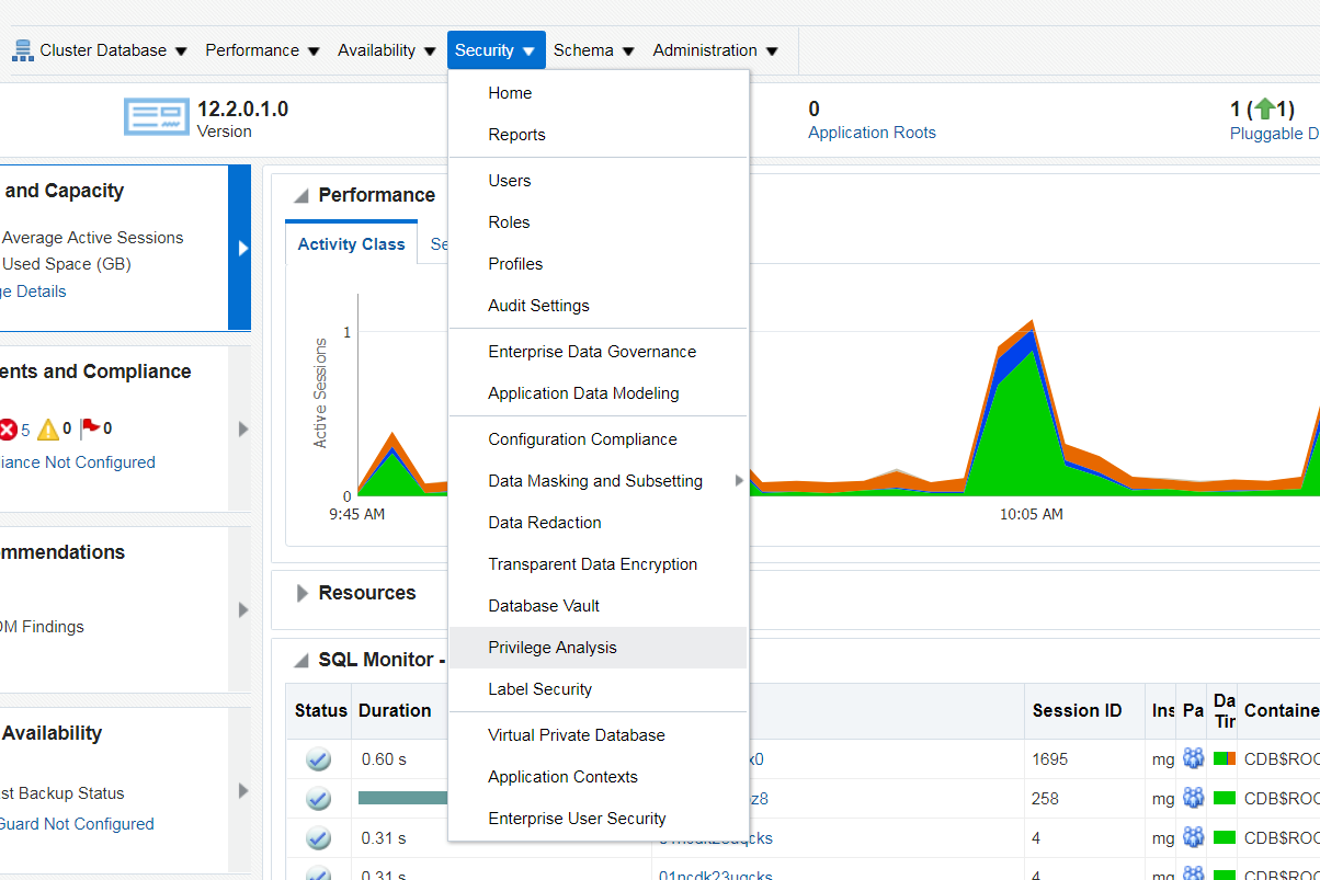 Understand Privilege Usage With Privilege Analysis In Oracle 12c